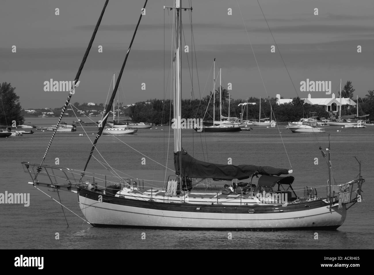 I saw Black and White Stock Photos & Images - Alamy