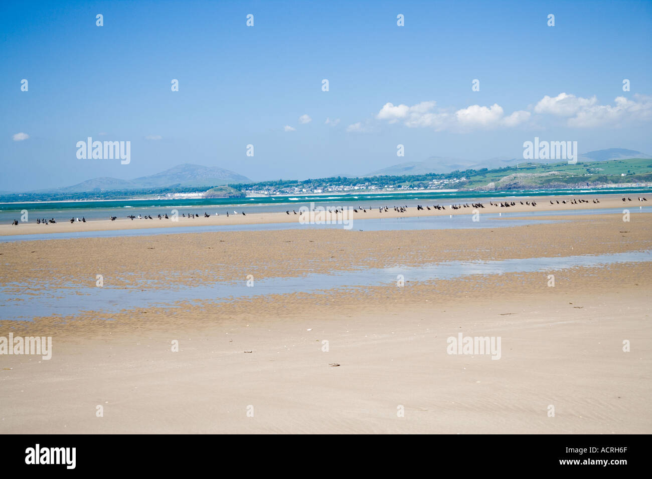 Harlech beach with Lleyn peninsula behind North Wales Stock Photo - Alamy