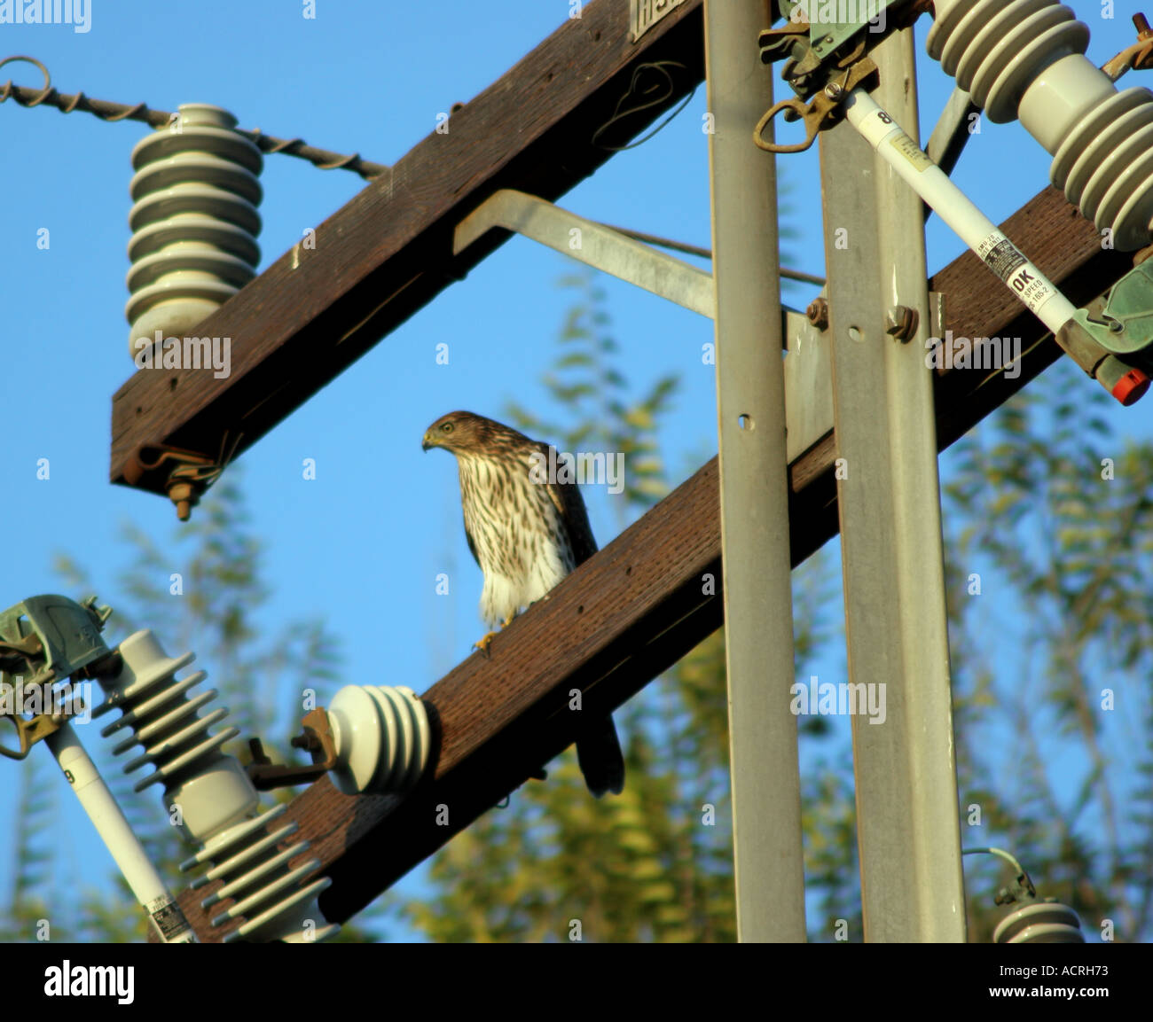 Amped up hi-res stock photography and images - Alamy