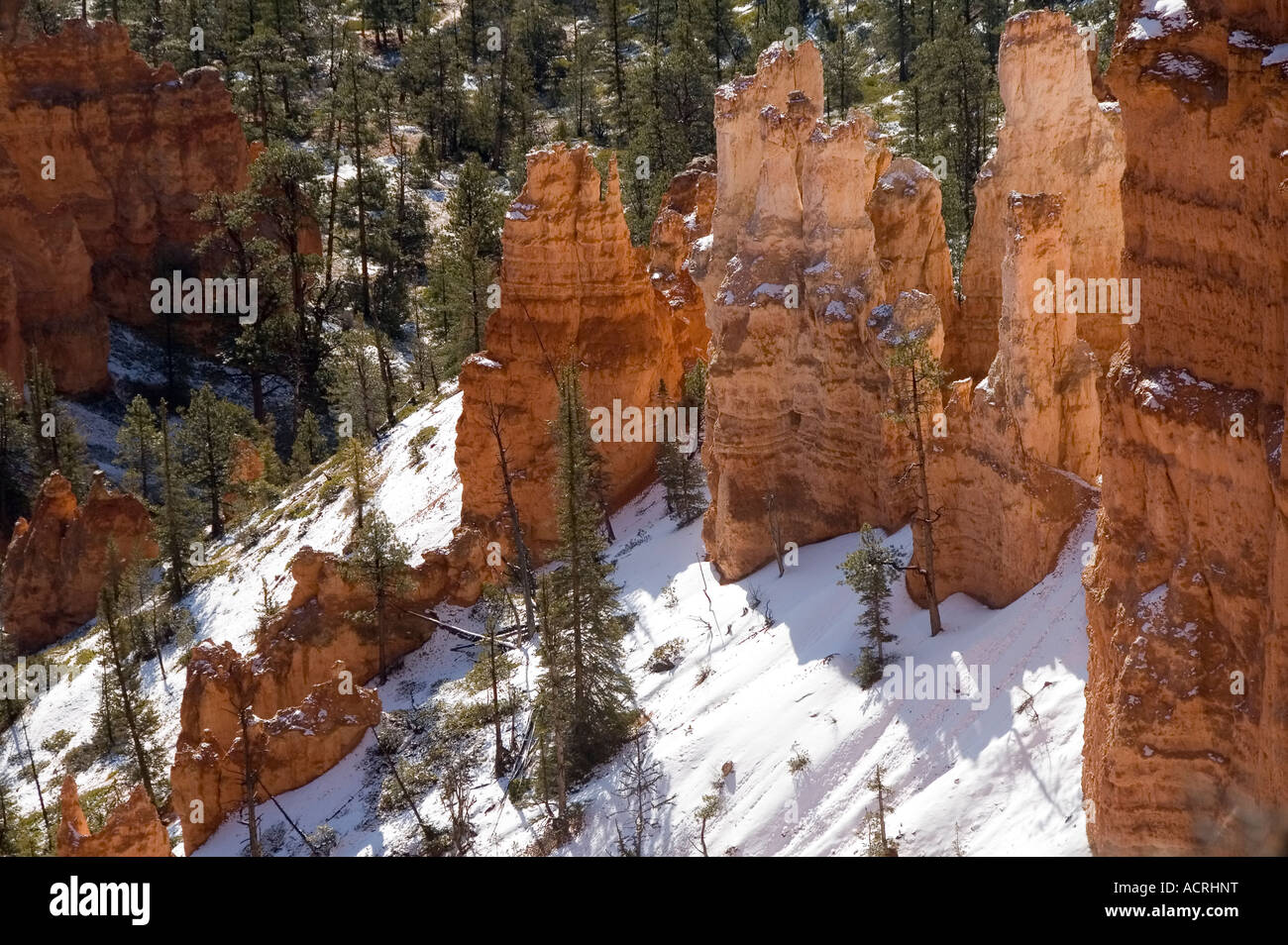 A picture illustrating some of the many of the features of Bryce Canyon ...