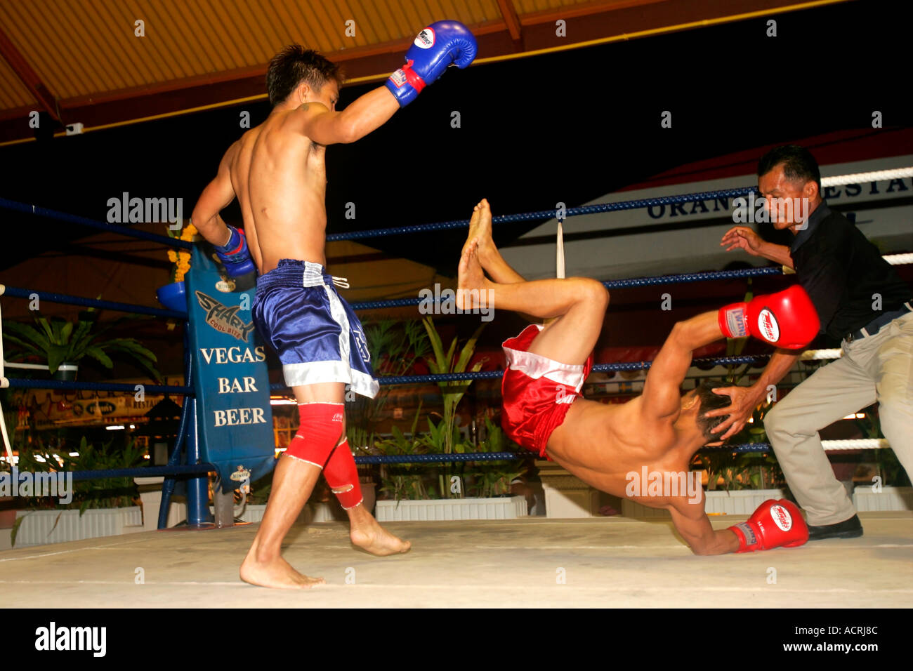 Thai boxing Patong Beach Phuket island Thailand Stock Photo - Alamy