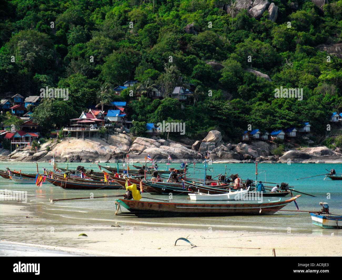 Traditional longtail boats tied up Hat Rin Nok beach on Ko Pha Ngan ...