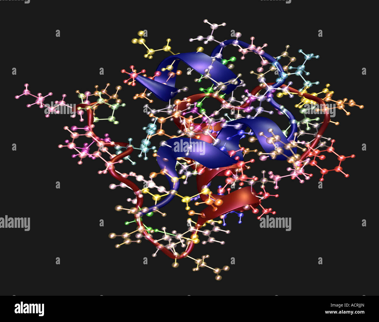 3D computer generated molecular model of human insulin monomeric form ...