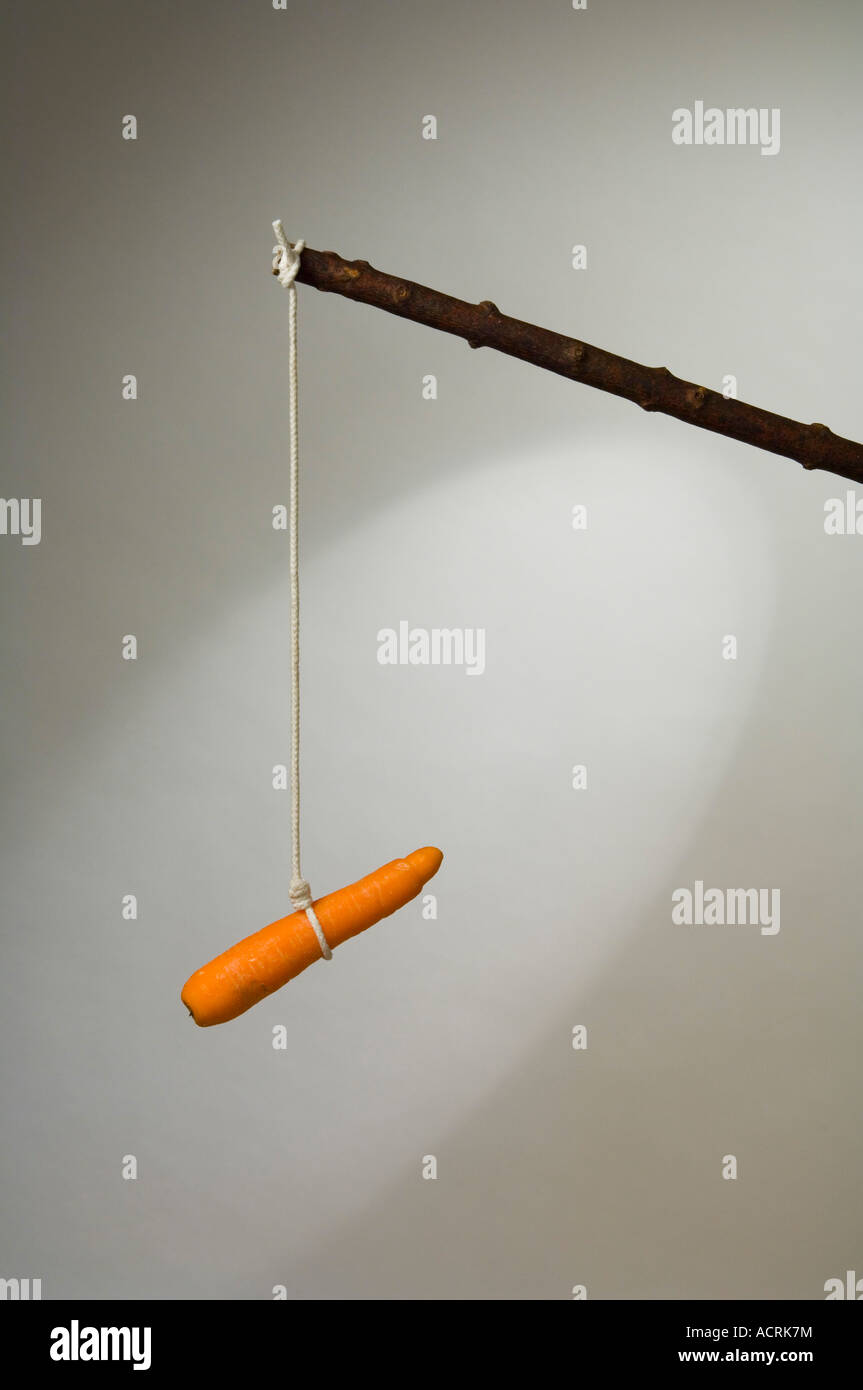 Dangling a carrot hi-res stock photography and images - Alamy