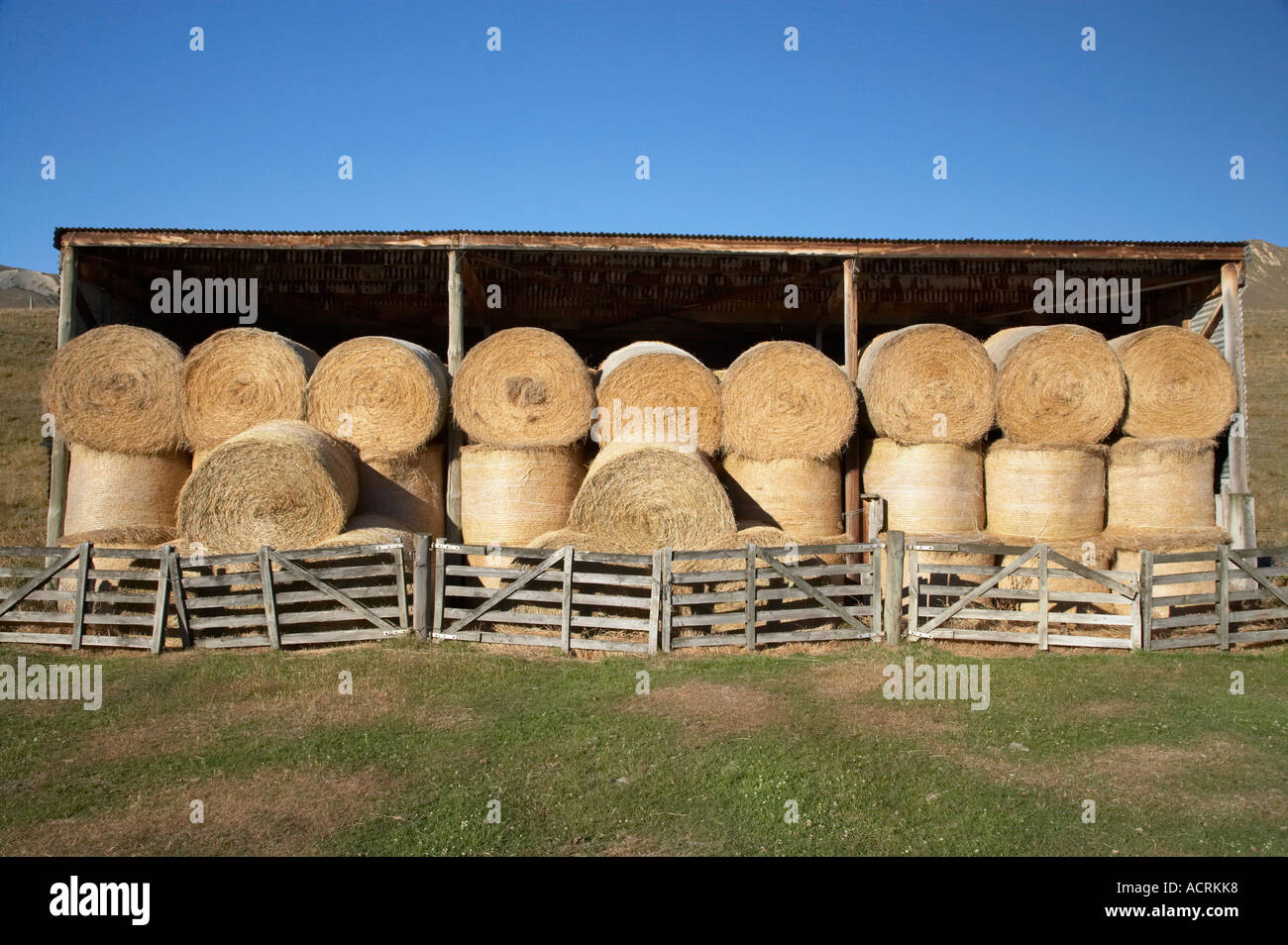 Hay Barn Ahuriri Valley North Otago South Island New Zealand Stock ...