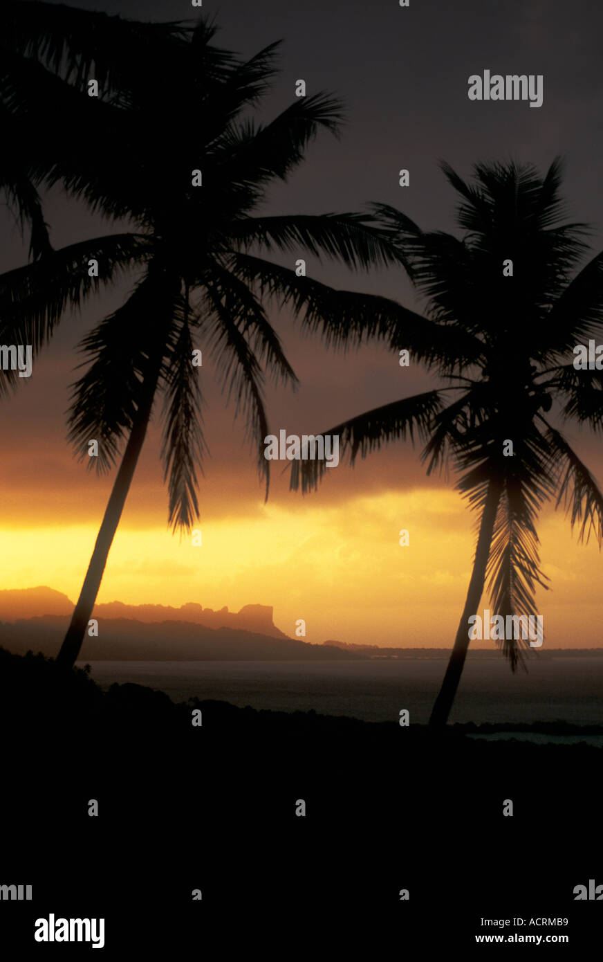 Village hotel pohnpei micronesia hi-res stock photography and images ...