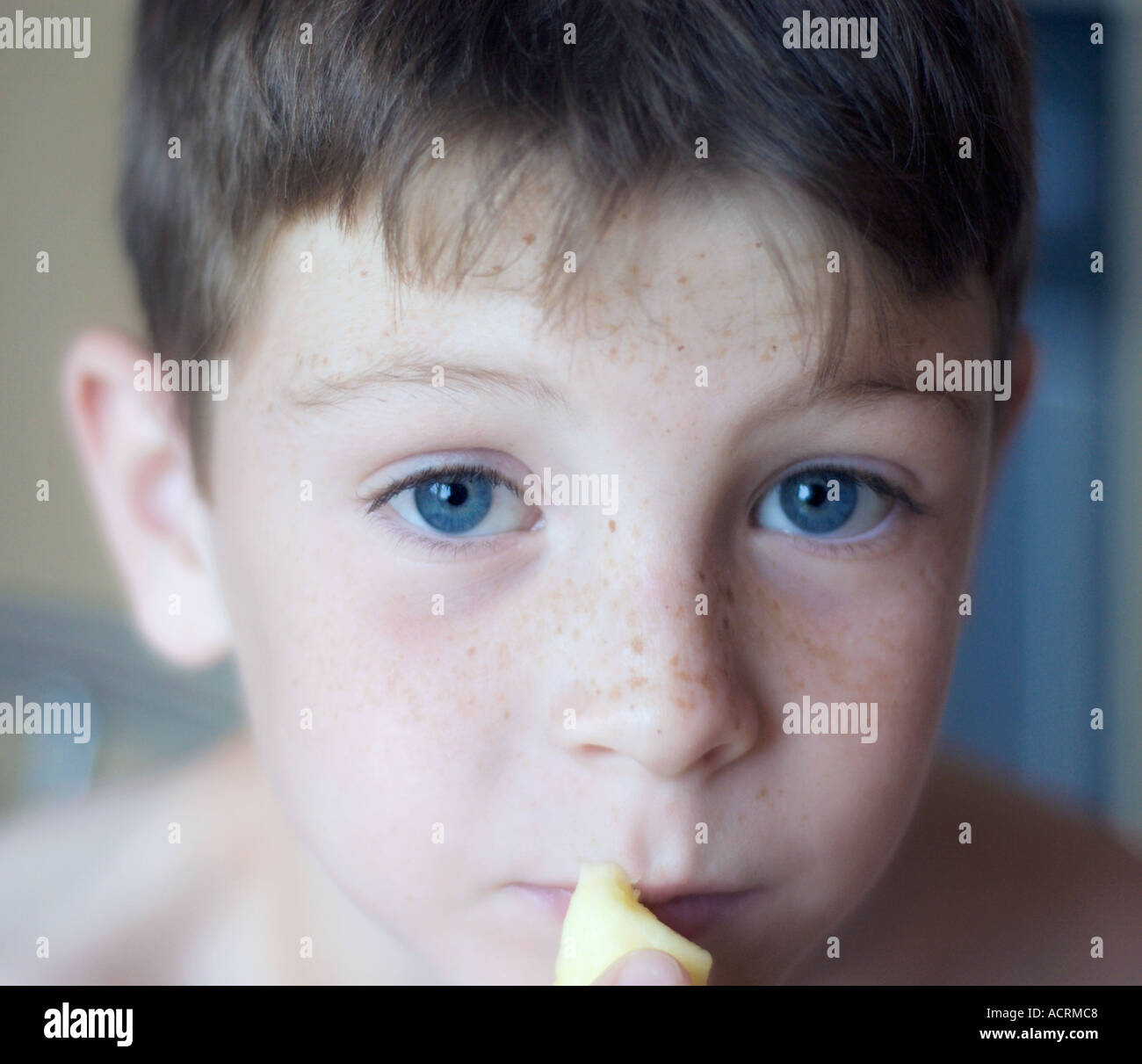 Boy eating cheese with blue eyes and freckles Stock Photo - Alamy