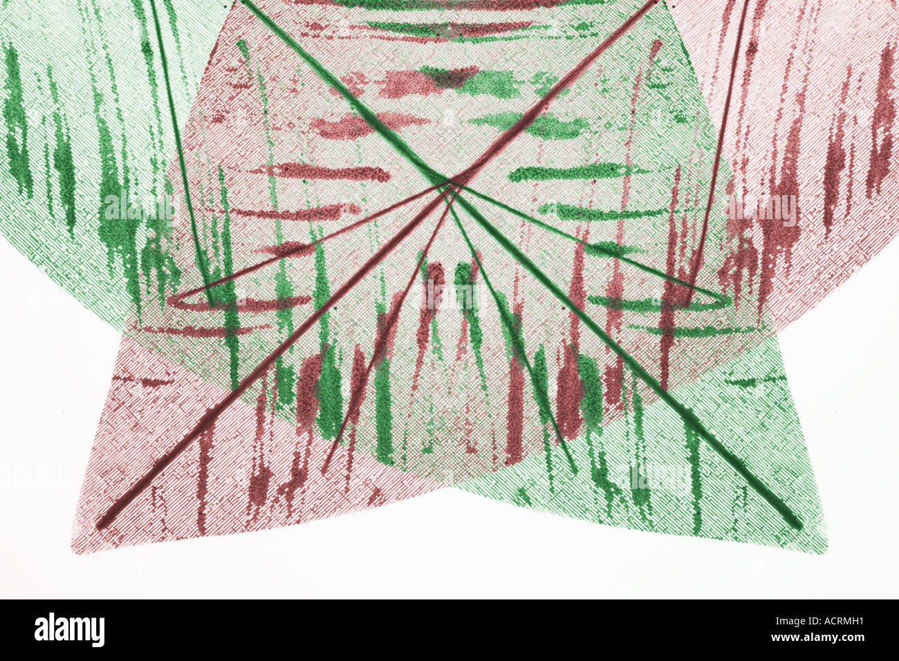 Dry Pressed Leaves Stock Photo - Alamy