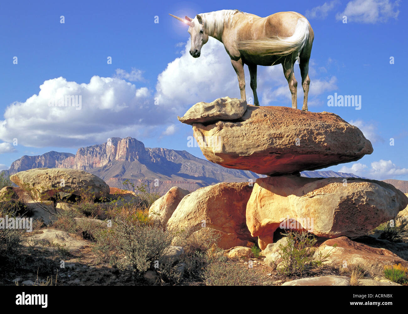 The unicorn is a legendary animal described throughout history and ...