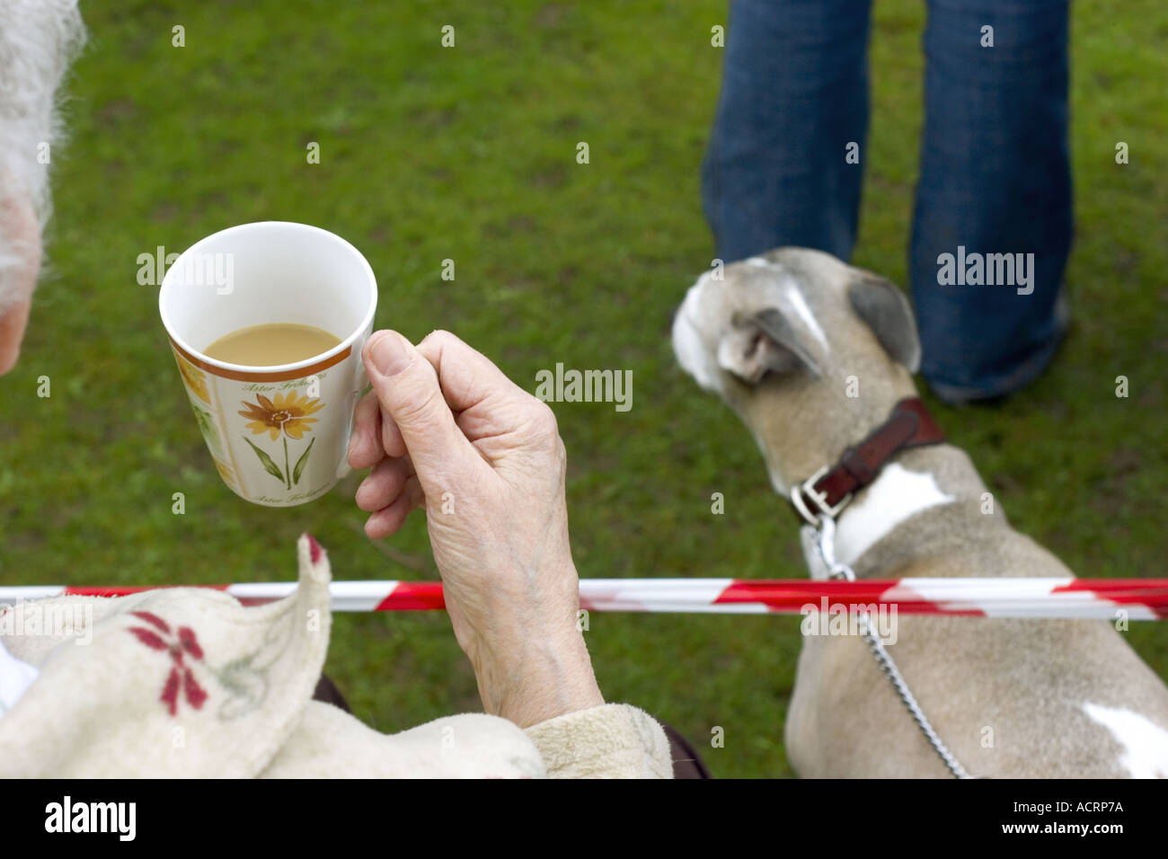 Village dog show hi-res stock photography and images - Alamy