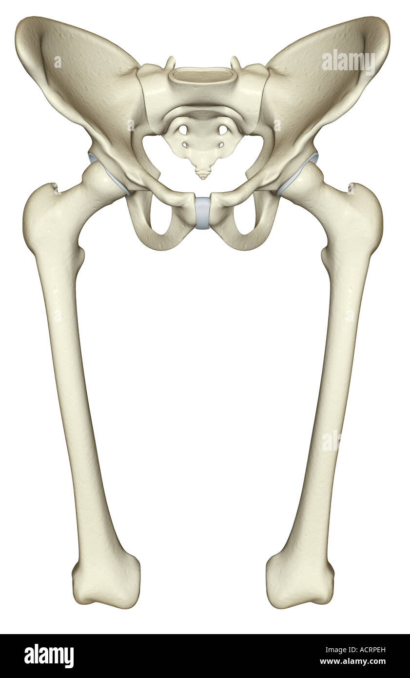 Lower lumbar Cut Out Stock Images & Pictures - Alamy