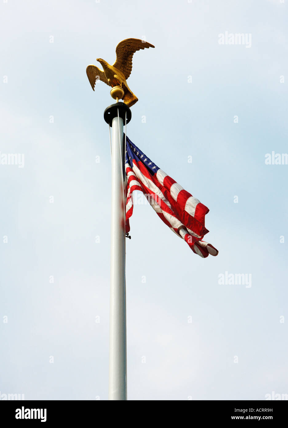 US flag and golden eagle sculpture on a flagpole Stock Photo - Alamy