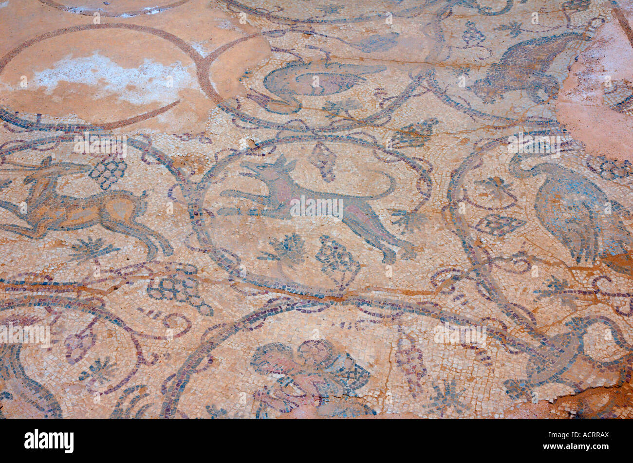 Byzantine mosaic depicting animals and hunting scenes Stock Photo - Alamy
