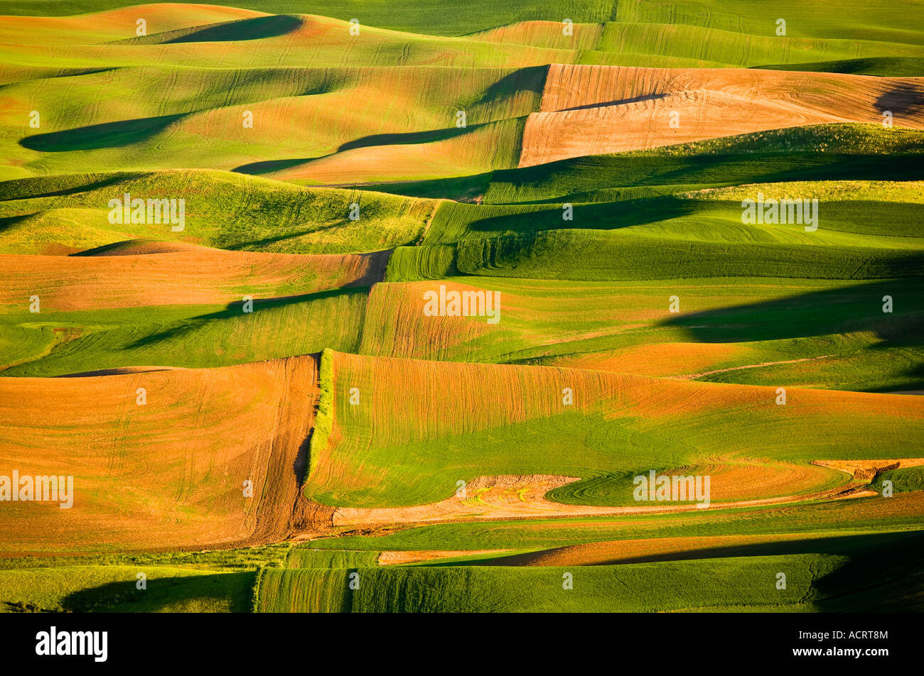Palouse Hills at Sunset#2, Washington State, USA Stock Photo - Alamy