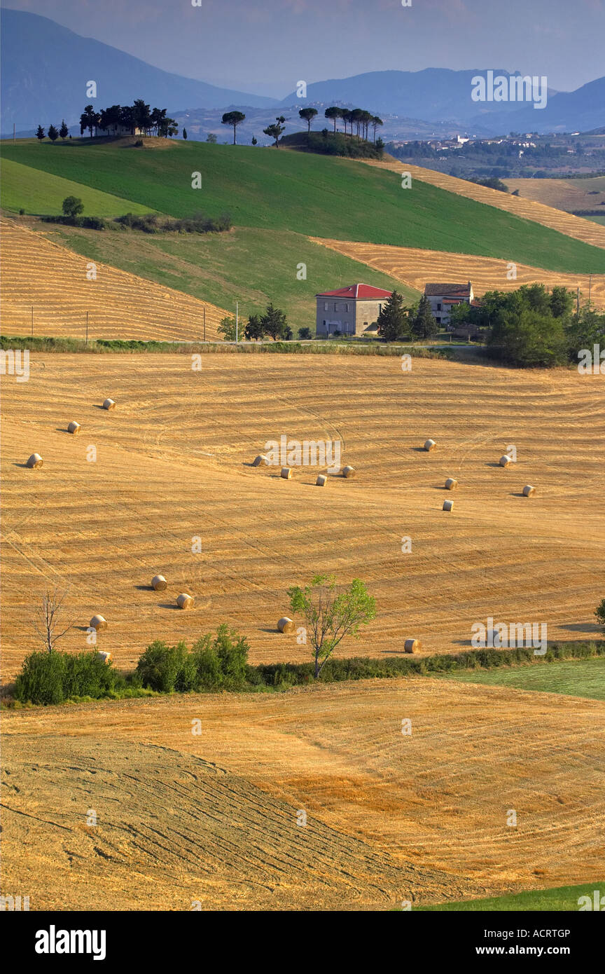 Agriculture or farming, italy hi-res stock photography and images - Alamy