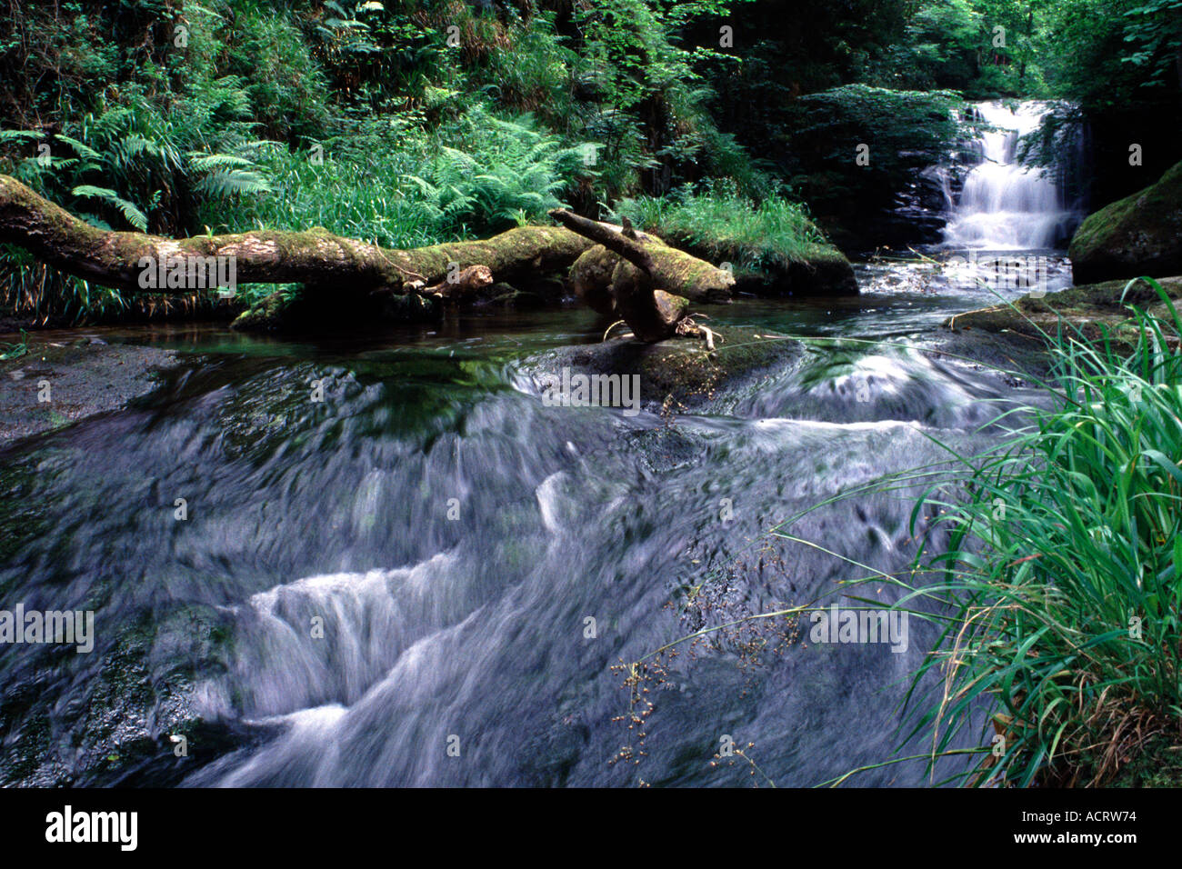 Watersmeet National Trust North Devon Stock Photo - Alamy