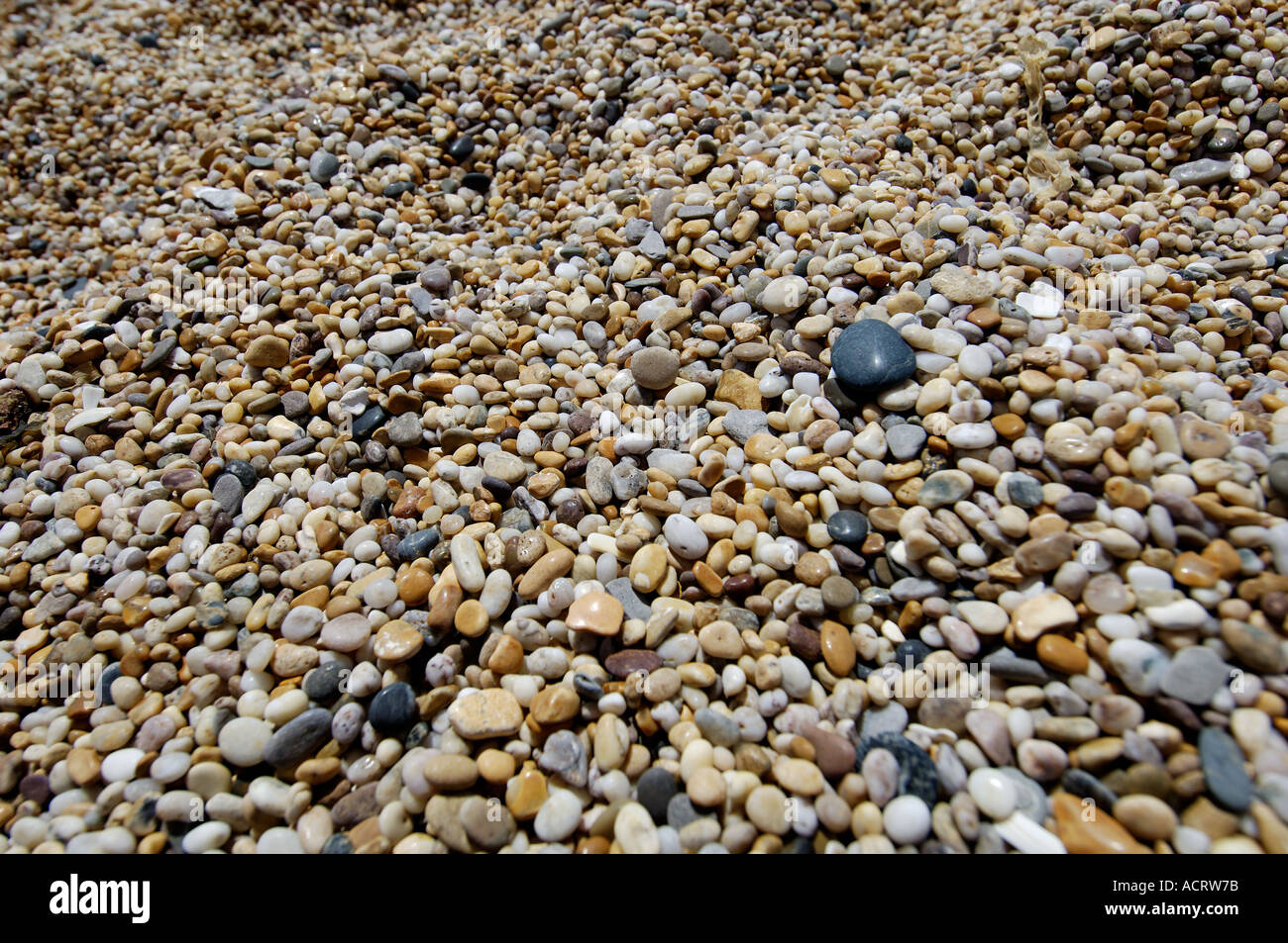 Devon kieselsteine hi-res stock photography and images - Alamy