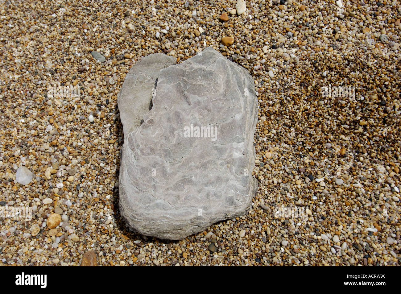 slate stone and pebbles on the beach at Slapton Sands South Devon ...