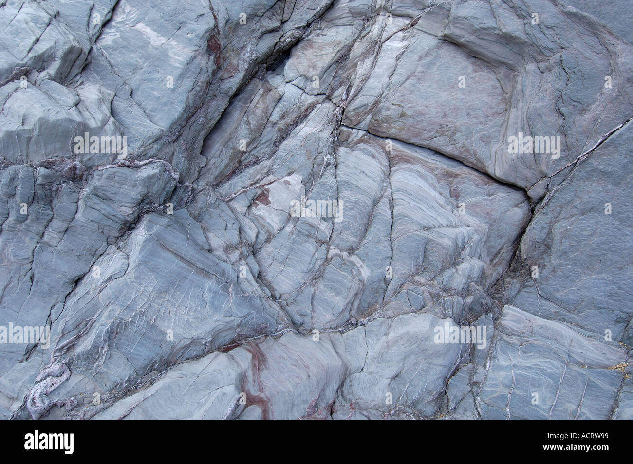 Slate rock at Slapton Sands South Devon England Stock Photo - Alamy