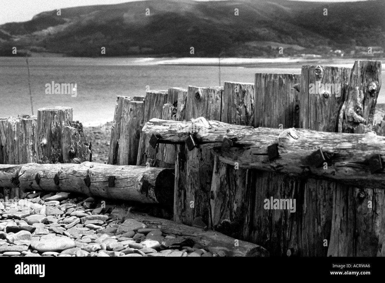 Tree stumps on beach hi-res stock photography and images - Alamy