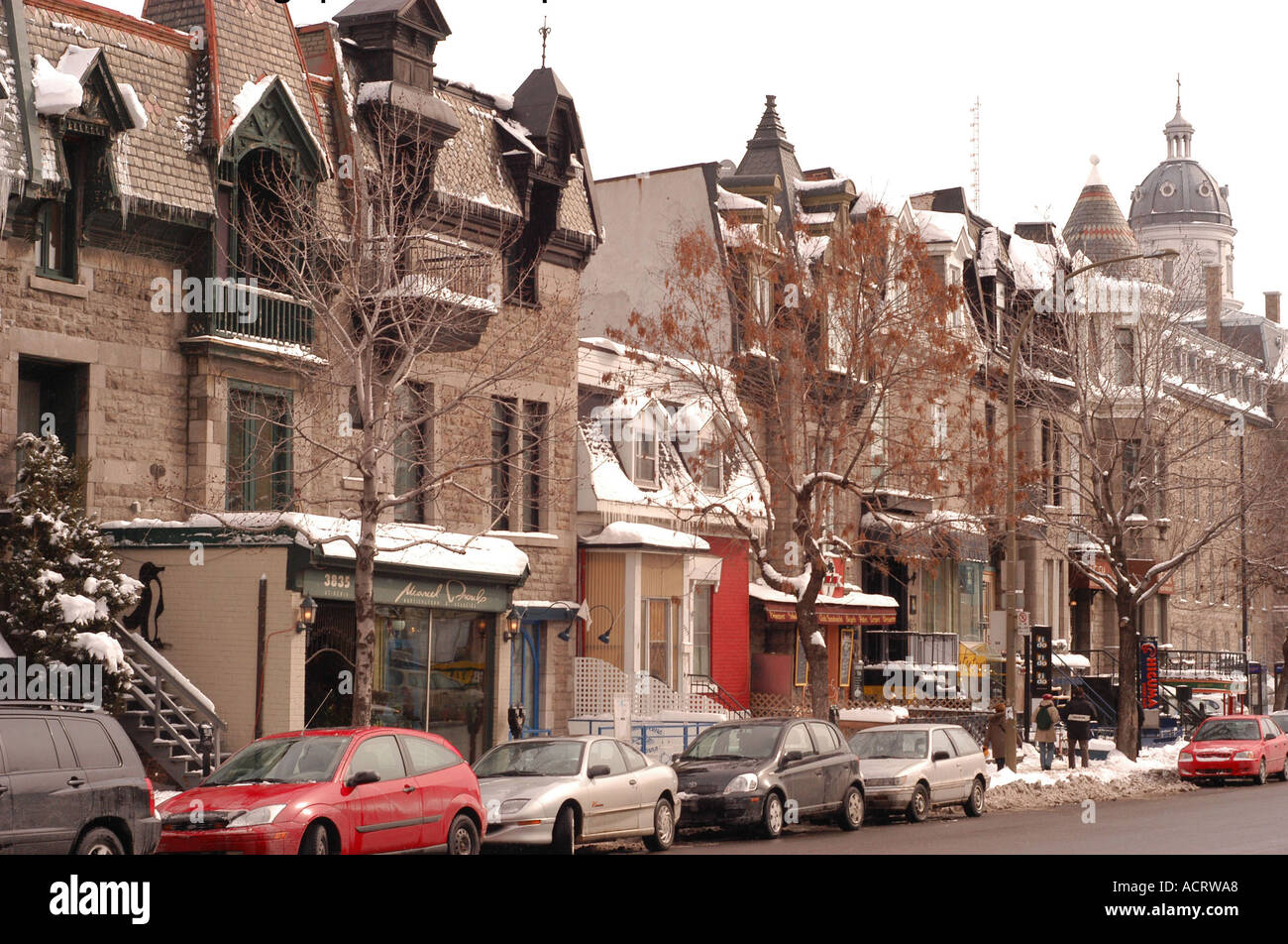 St Denis street Plateau area Montreal Quebec Canada Stock Photo - Alamy