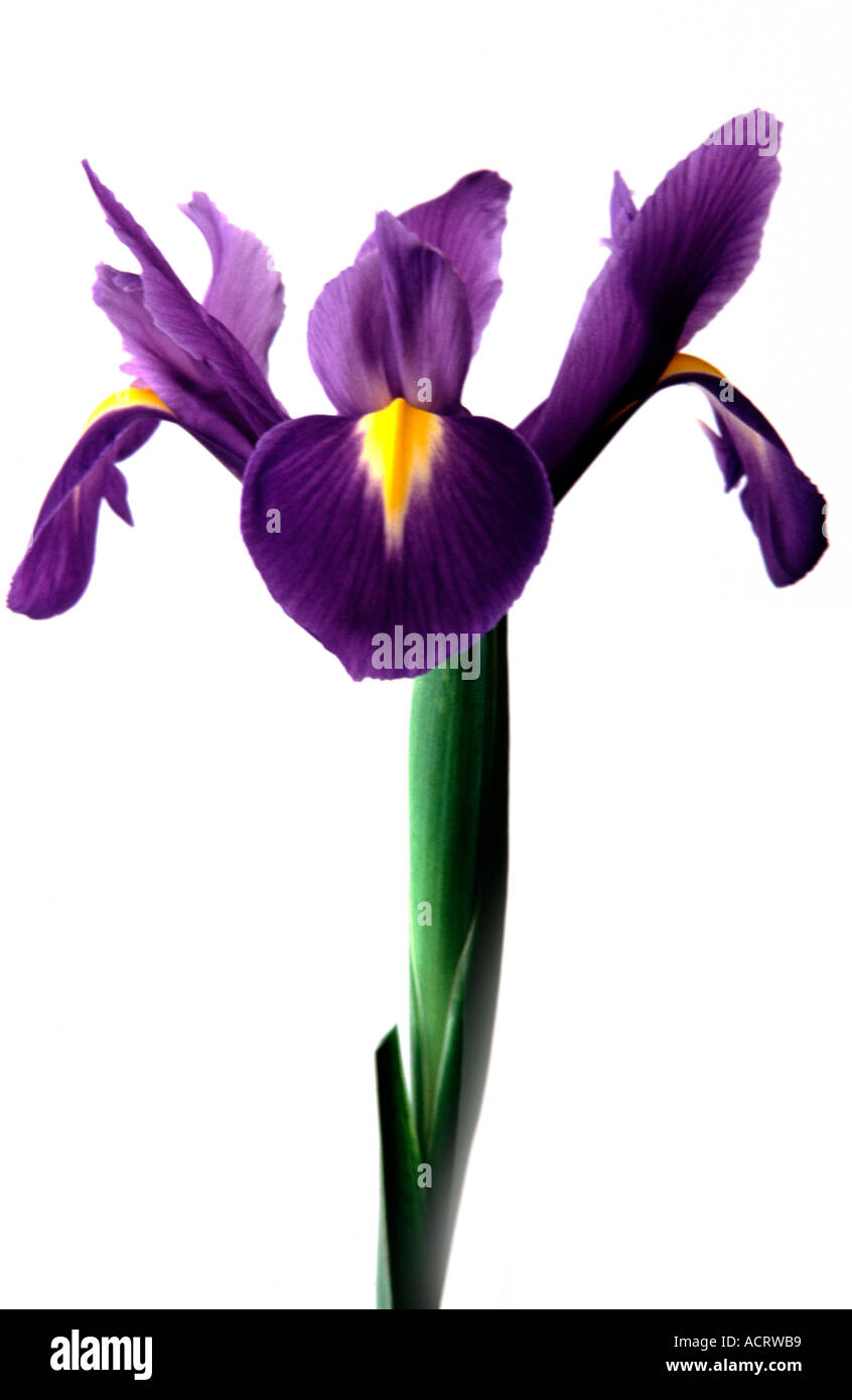 Acrwb9 hi-res stock photography and images - Alamy