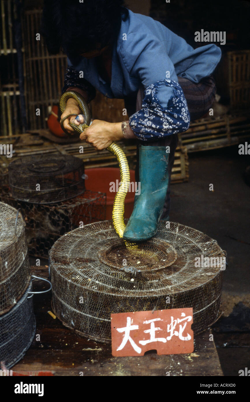 A snake seller in a market in Guangzhou China Stock Photo - Alamy
