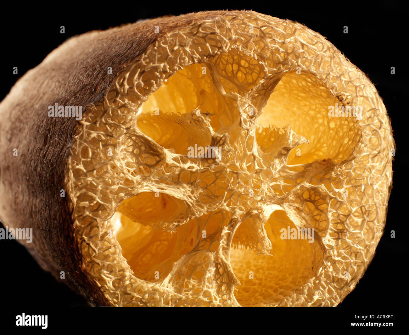 Lufer hi-res stock photography and images - Alamy