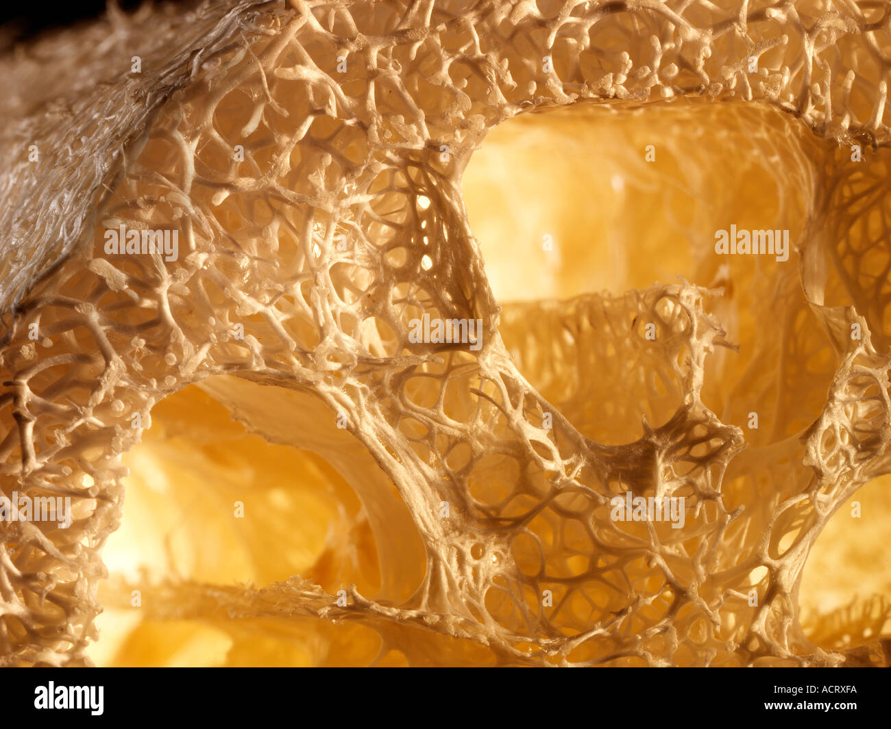 Lufer hi-res stock photography and images - Alamy