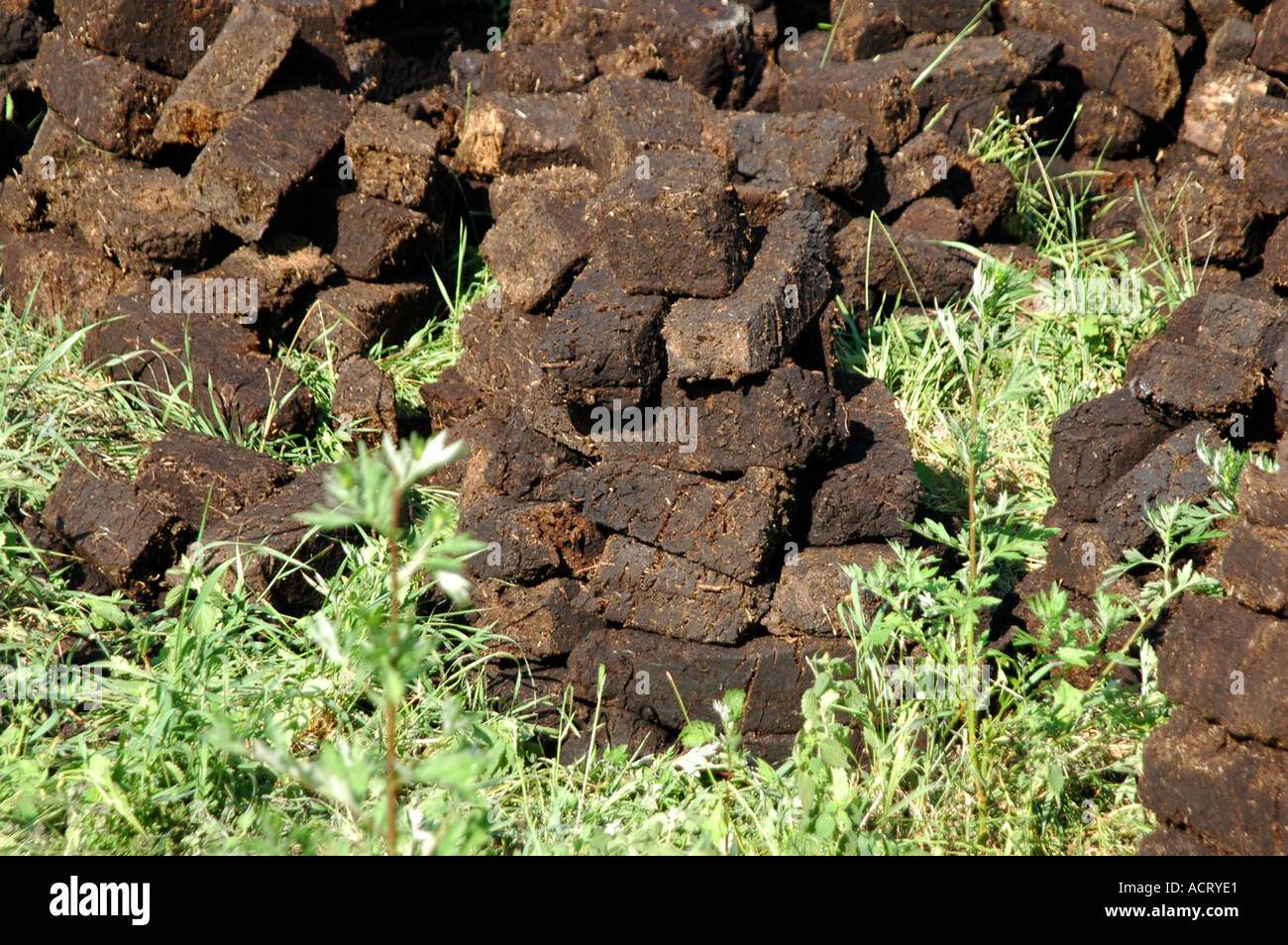 Drying blocks of peat Stock Photo - Alamy