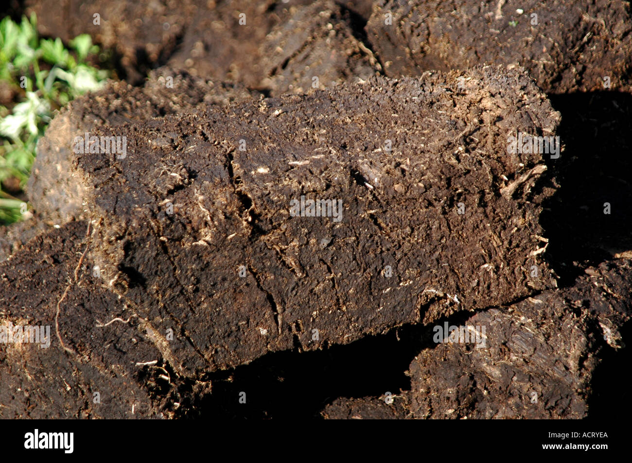 Drying blocks of peat Stock Photo - Alamy