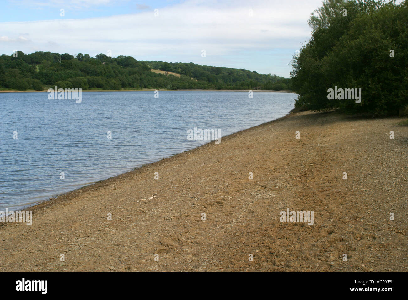 Ardingly Reservoir West Sussex England UK July 2005 Stock Photo - Alamy