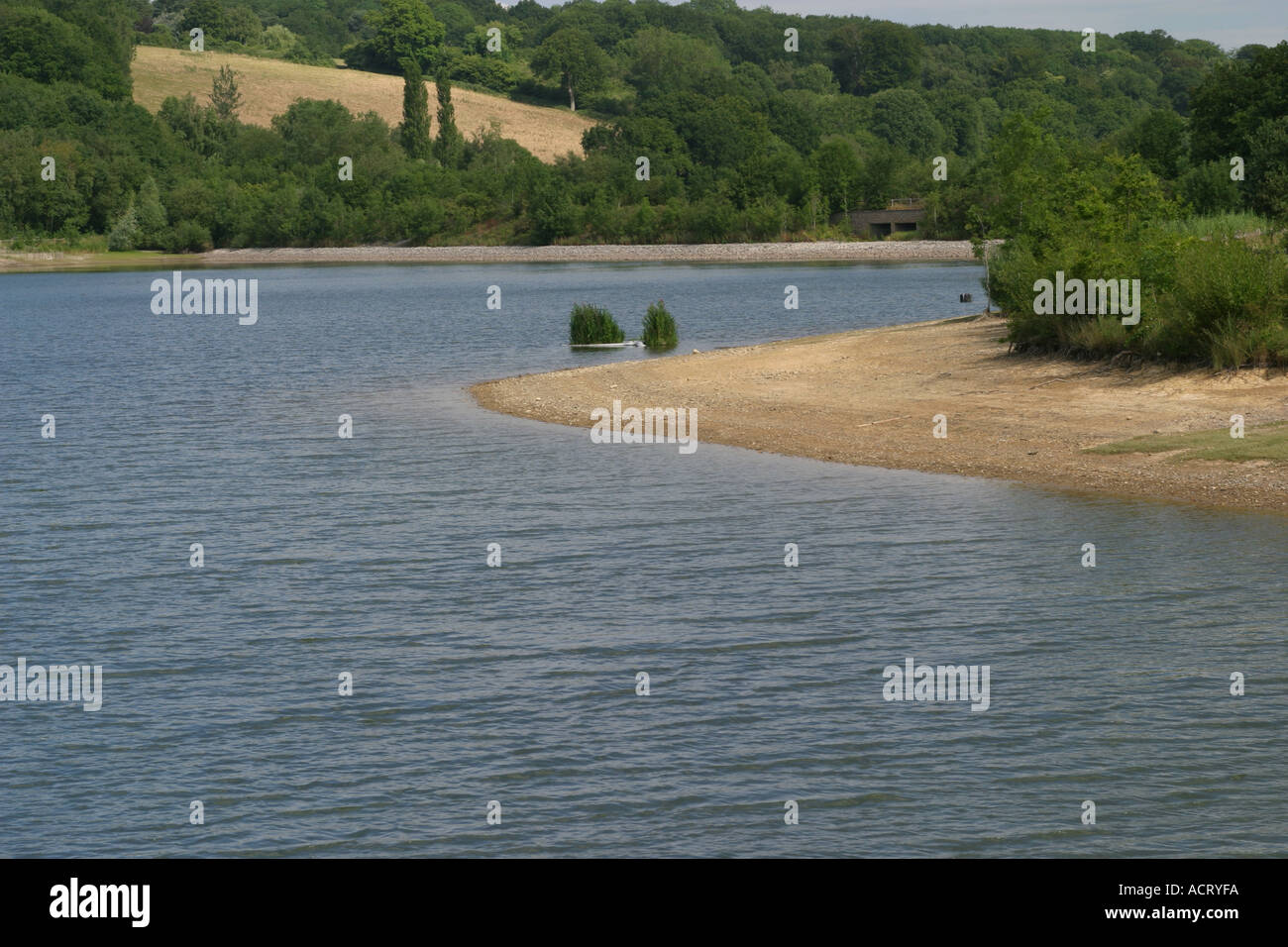 Ardingly reservoir west sussex hi-res stock photography and images - Alamy