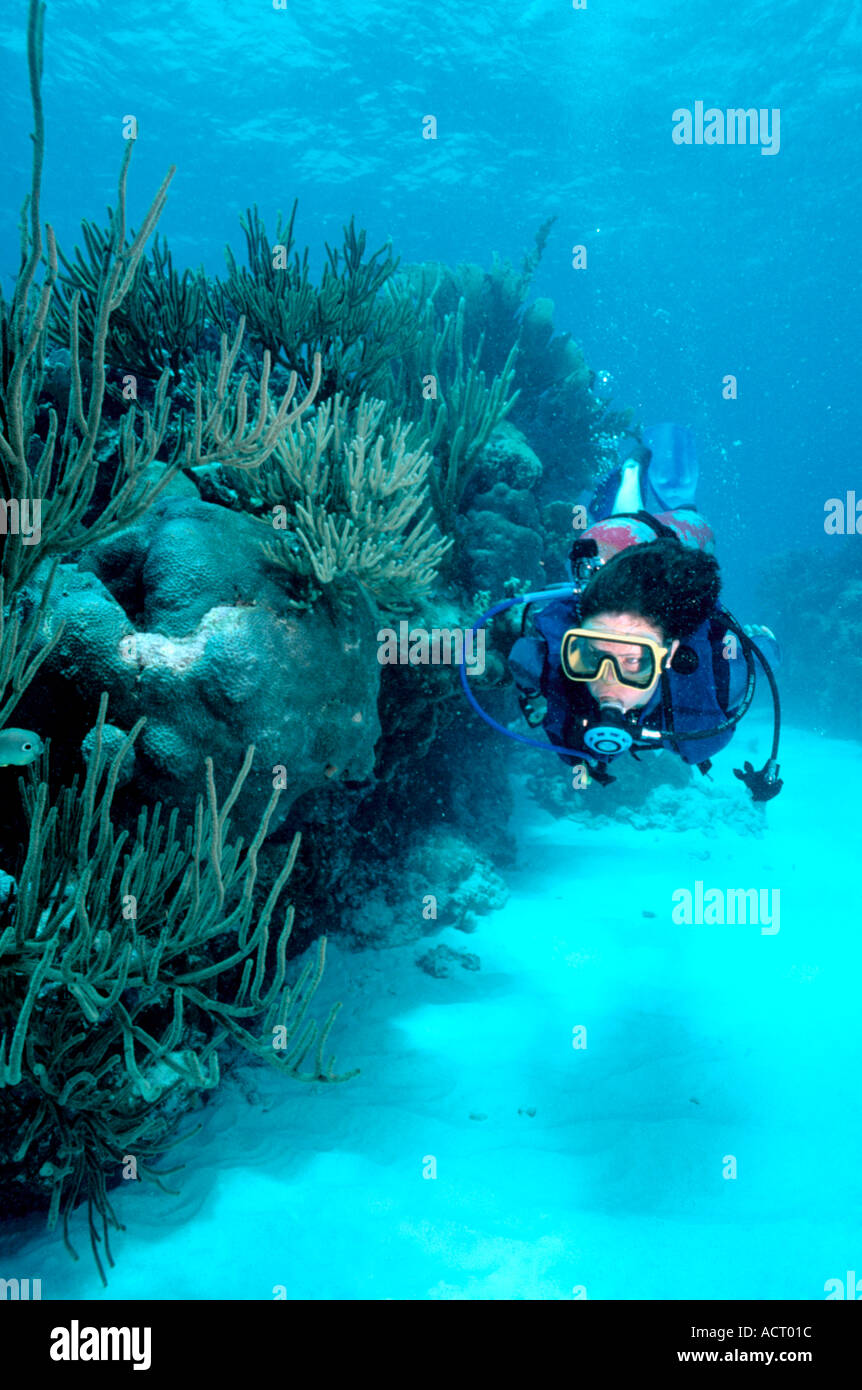 Scuba diver caribbean underwater scenery hi-res stock photography and ...
