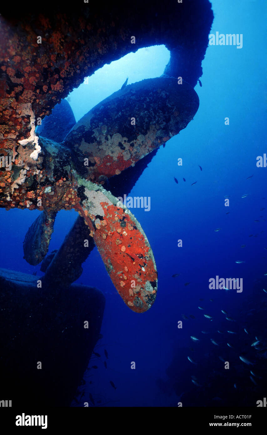 Wreckship hi-res stock photography and images - Alamy