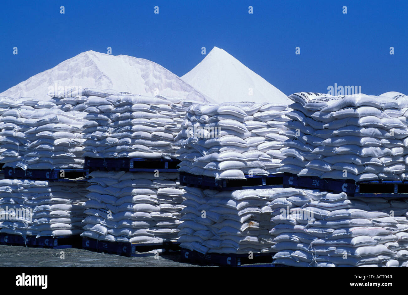Bags of freshly packed salt at Walvis Bay salt works Walvis Bay Namibia ...