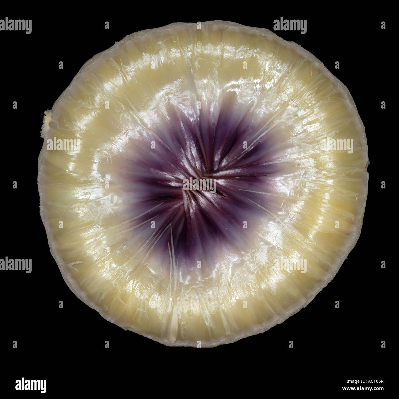 Heart of Cut Out Stock Images & Pictures - Alamy