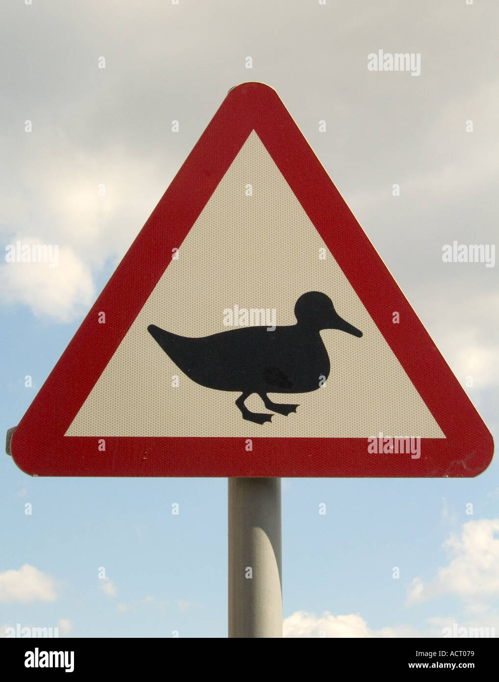 beware of the ducks sign against a blue cloudy sky Stock Photo - Alamy