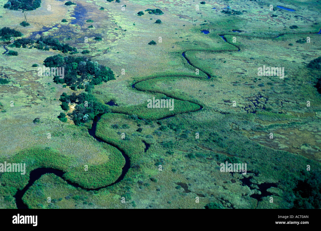 Aerial view of a meandering main channel fringed with papyrus reeds in ...