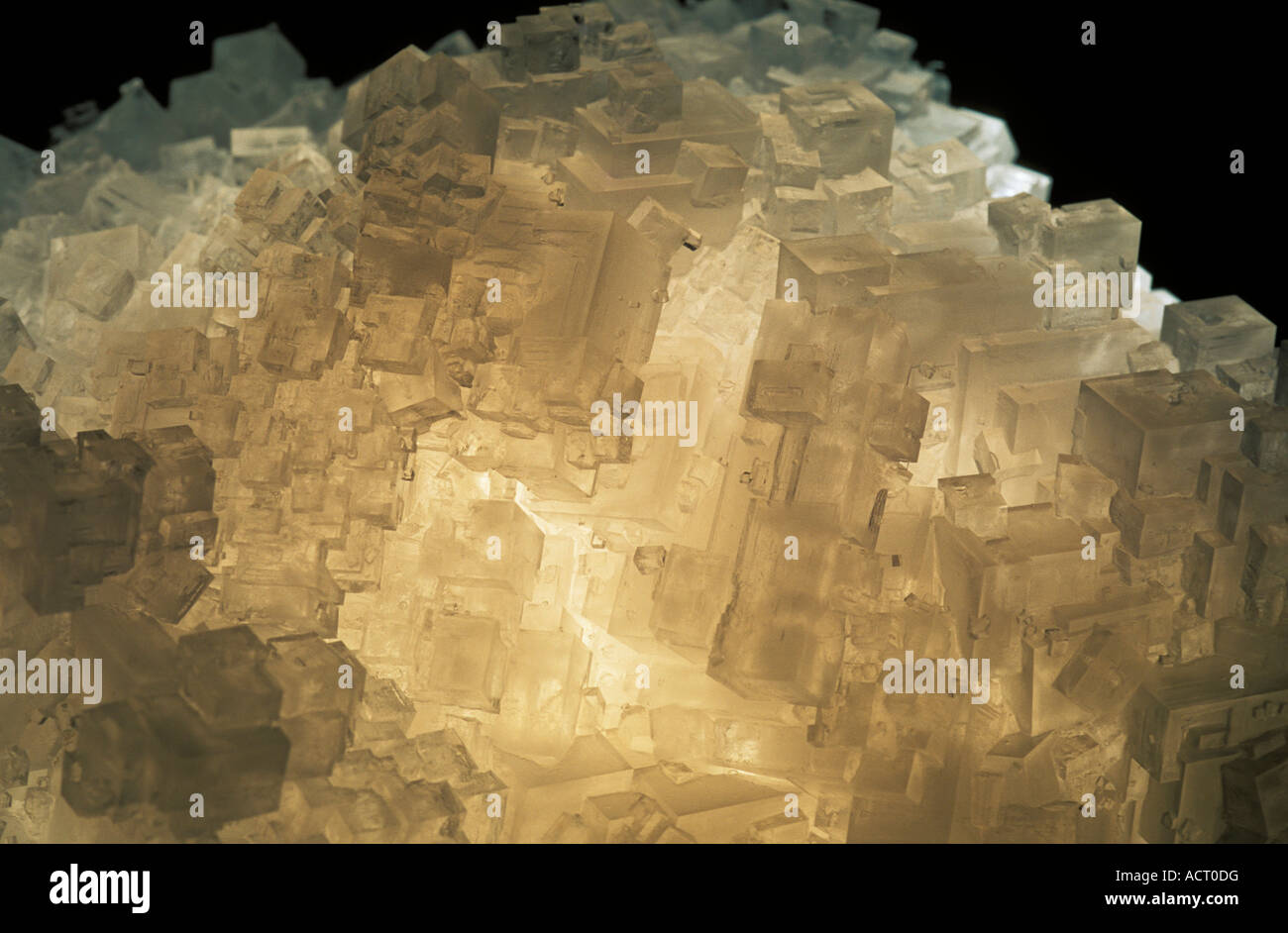 Natural Salt crystal Cape Cross Namibia Stock Photo - Alamy