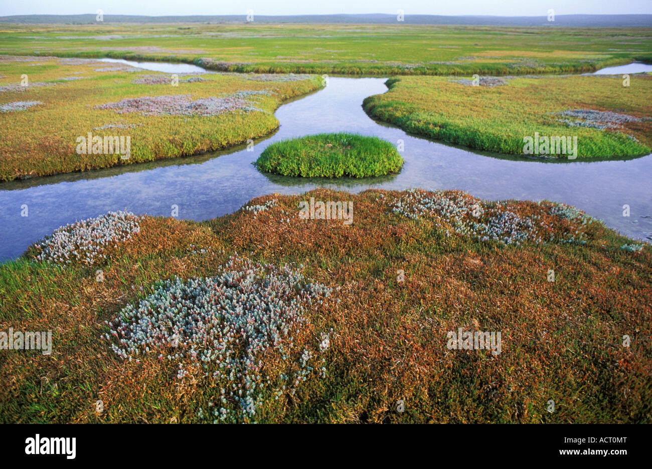 View of salt marsh West Coast National Park Langebaan Lagoon South ...