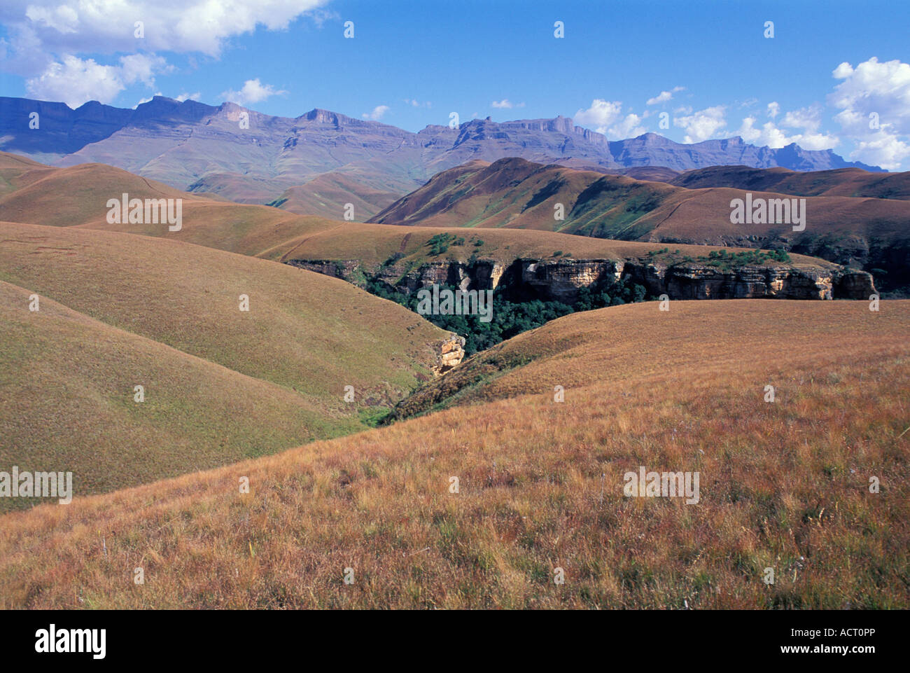 View of grassland cave sandstone cliffs in little berg and escarpment ...