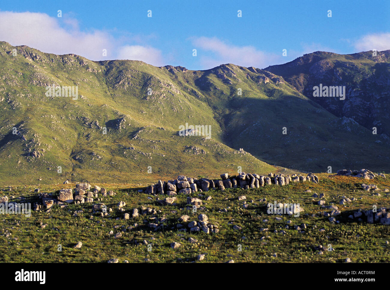 Kogelberg valley south africa hi-res stock photography and images - Alamy