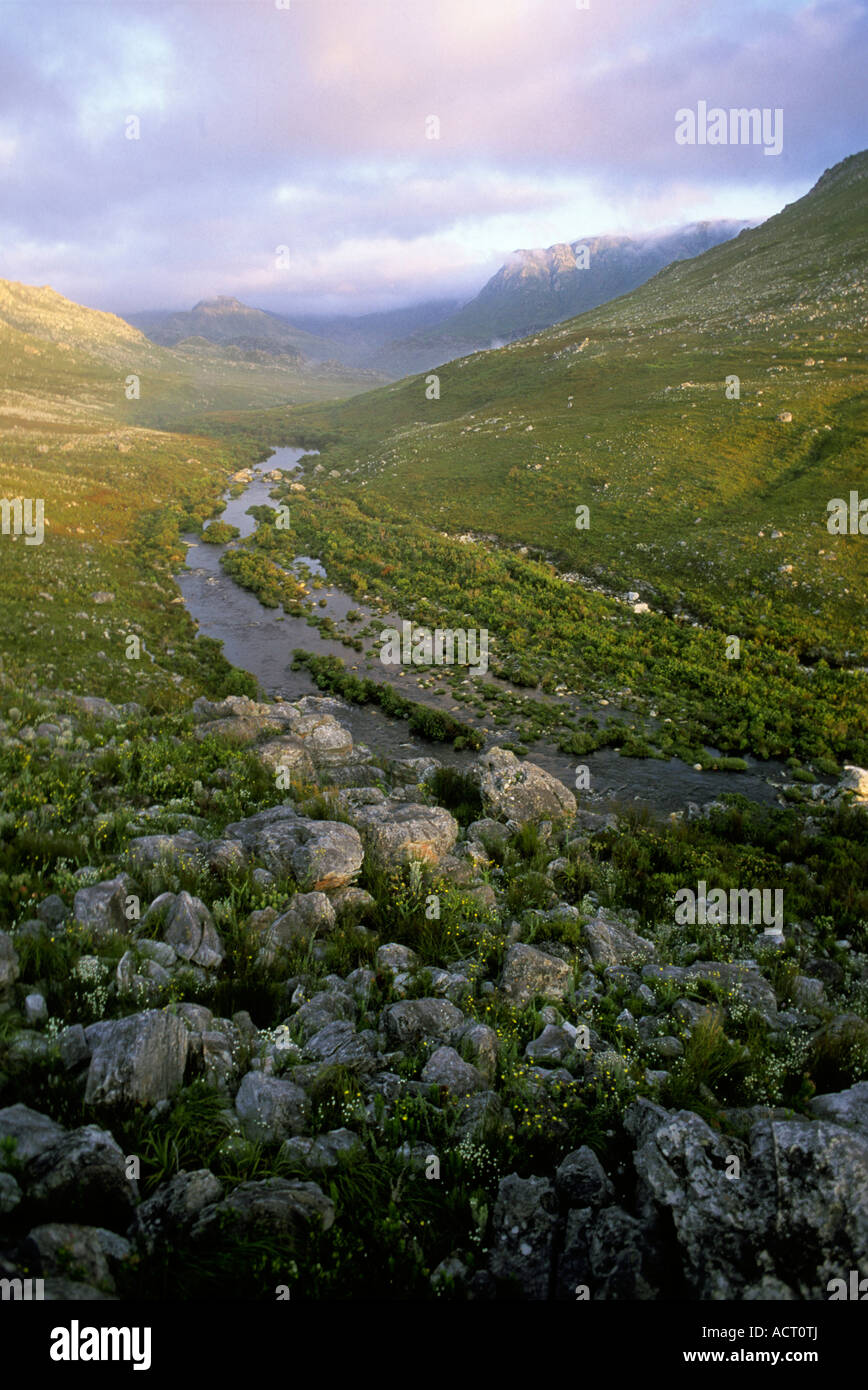 Kogelberg valley south africa hi-res stock photography and images - Alamy