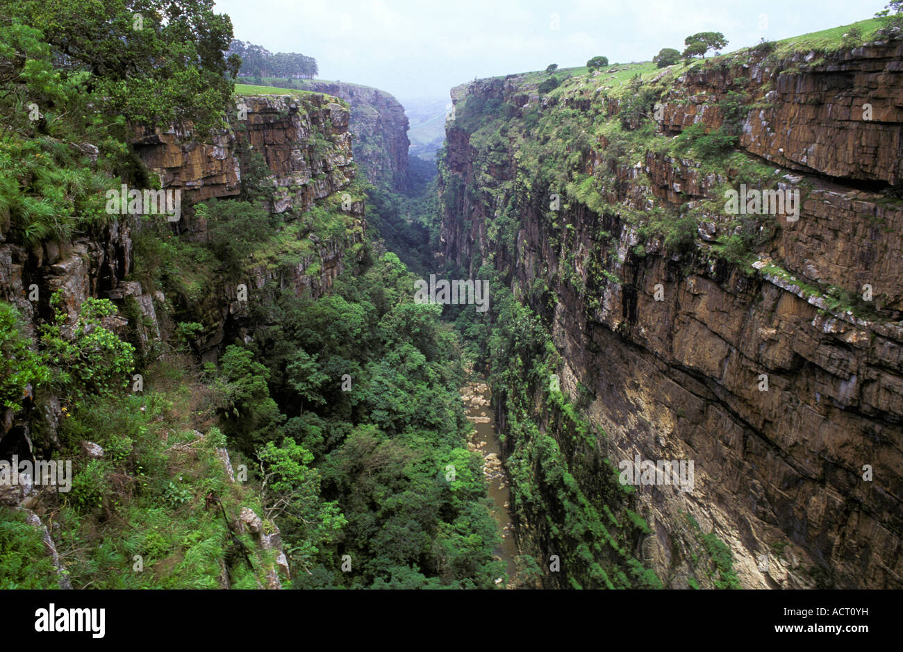 Scenic view of gorge below Magwa Falls Lusikisiki Transkei E Cape ...