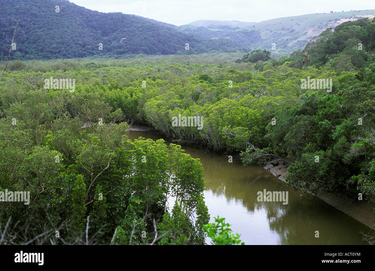 Umngazana hi-res stock photography and images - Alamy