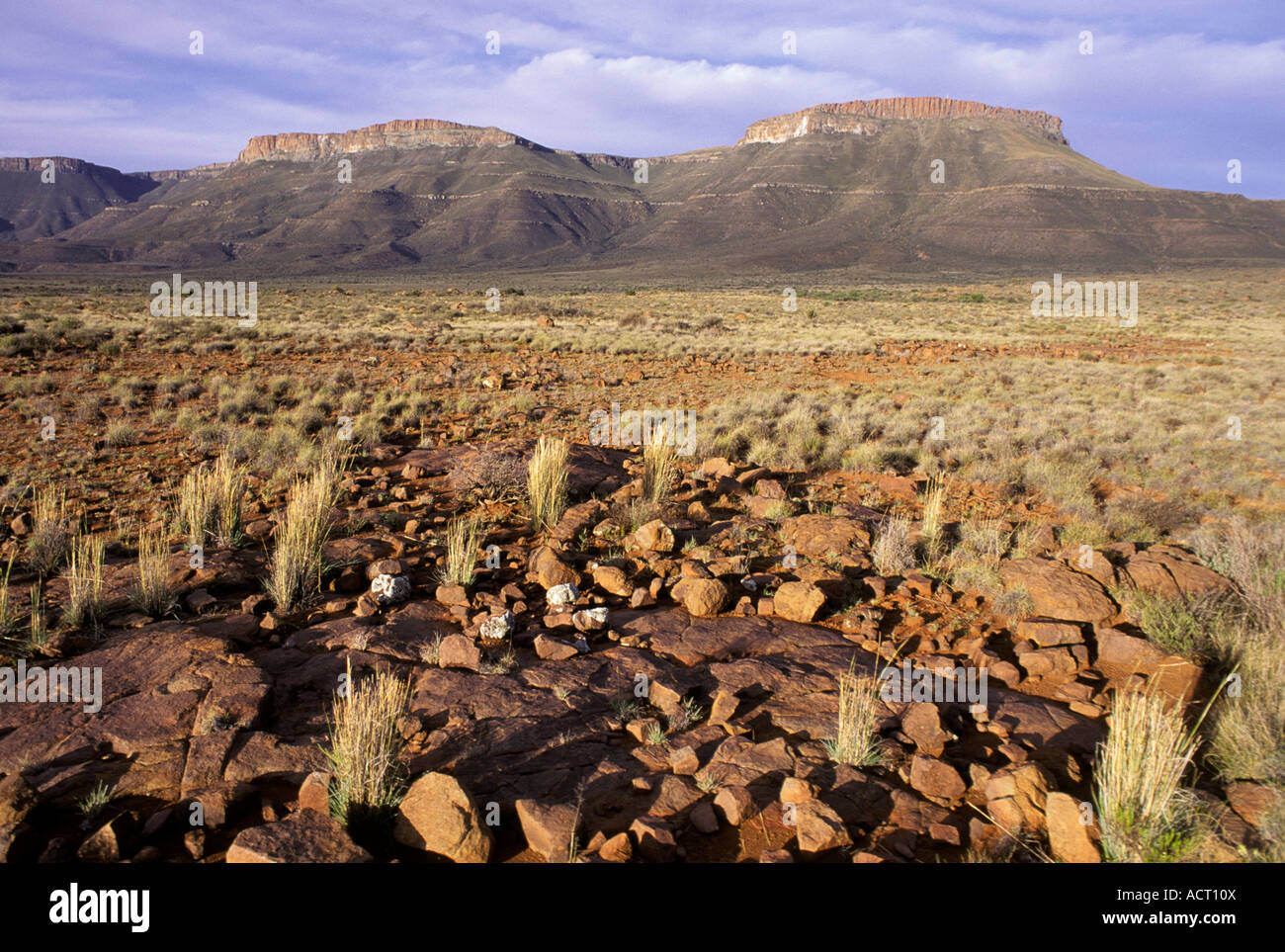 Karoo Landscape