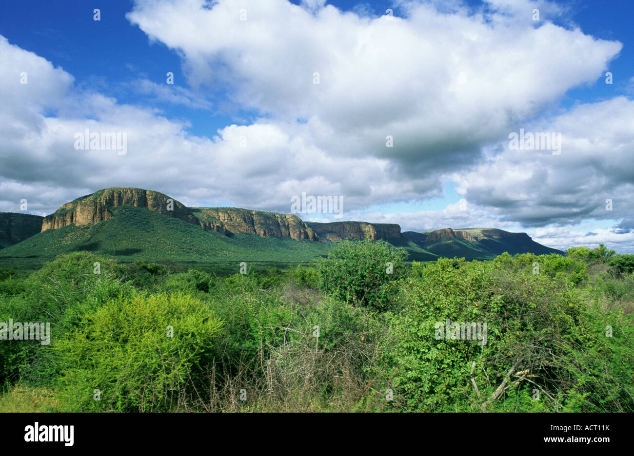 Kransberg hi-res stock photography and images - Alamy