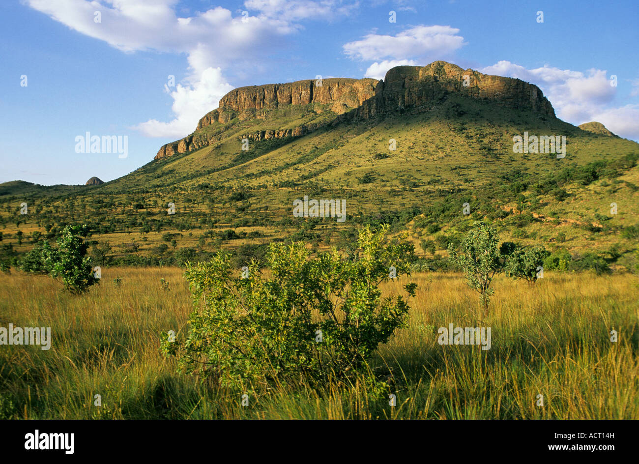 Lower slopes hi-res stock photography and images - Alamy