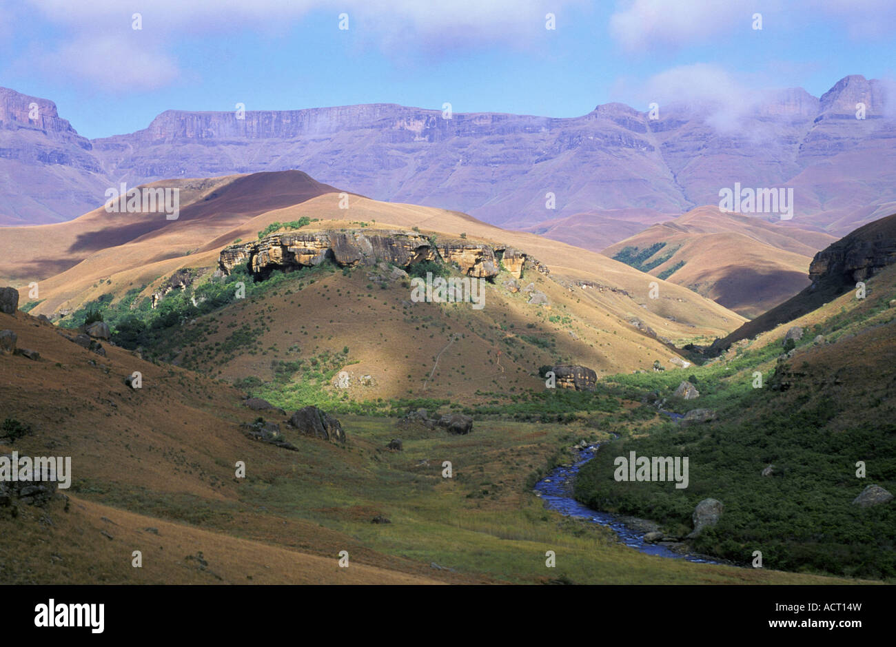 Bushmans River valley Little Berg cliffs and escarpment in background ...